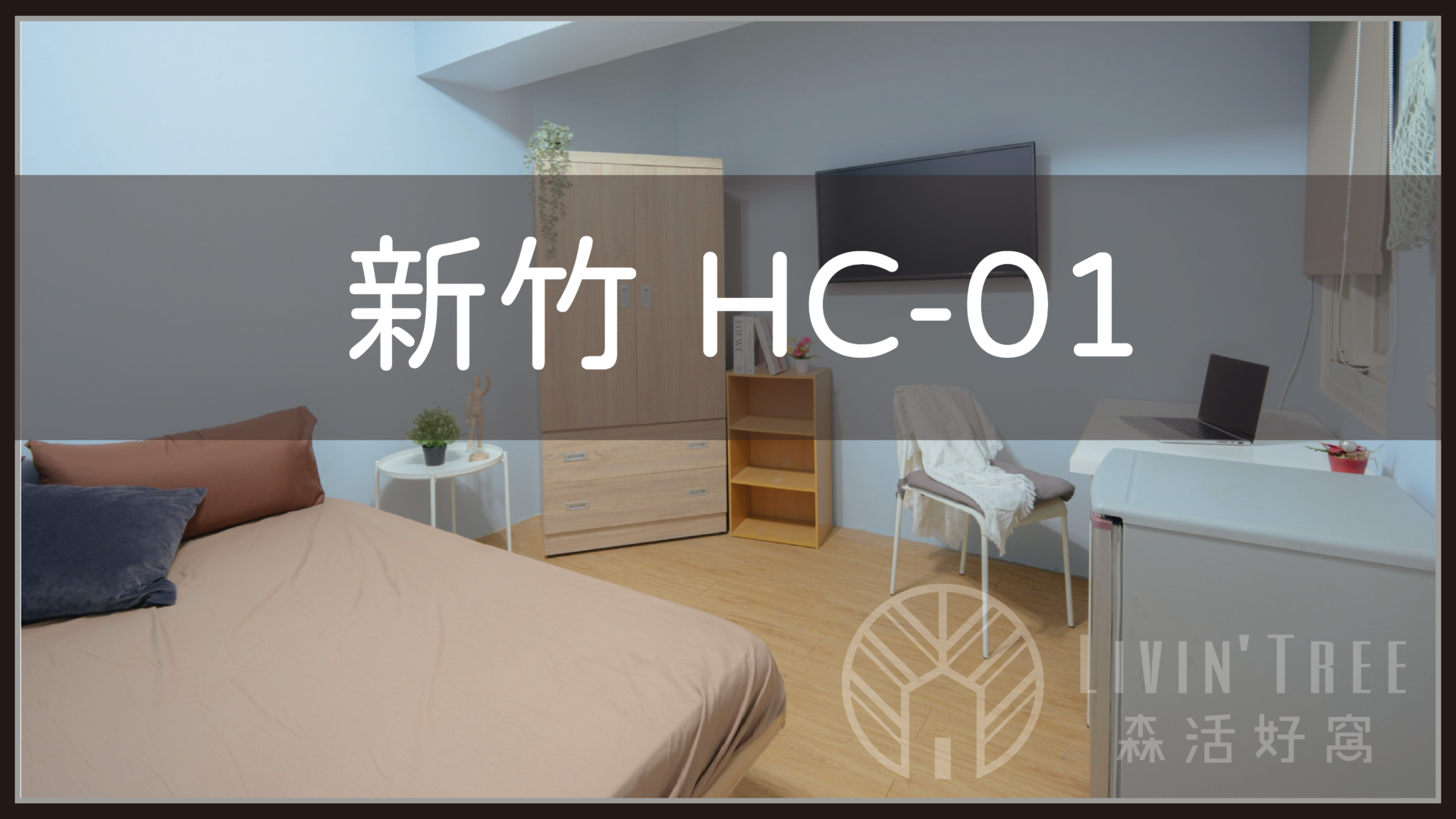 新竹 HC-01 - 森活好窩Livin' Tree